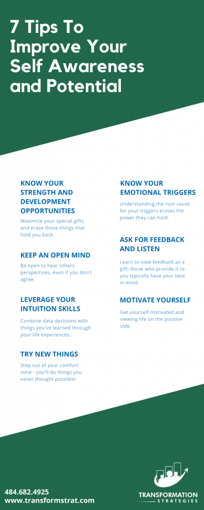 Infographics - Transformation Strategies